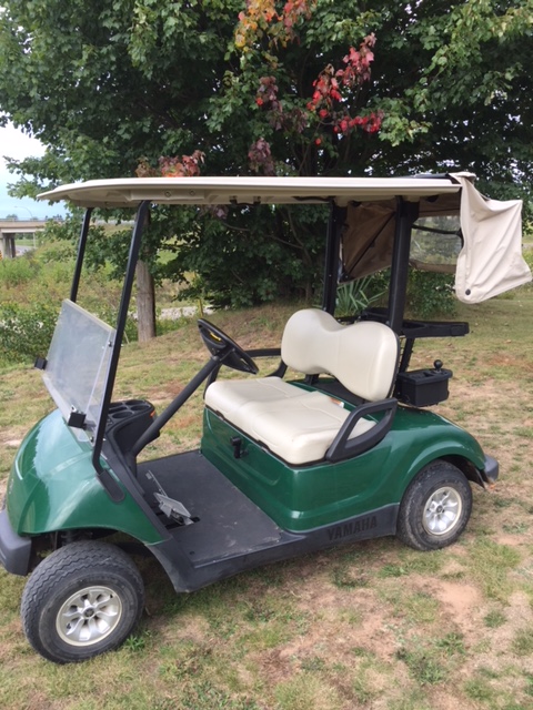 2010 YAMAHA DRIVE GAS EMERALD JW1-312162 (Includes windshield, club ...