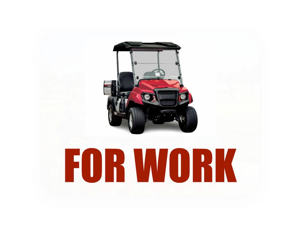 rafuse for work - Rafuse Golf Cars Inc.
